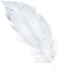 Counselling in Exeter & Online Therapy | Louise Ramirez Counselling